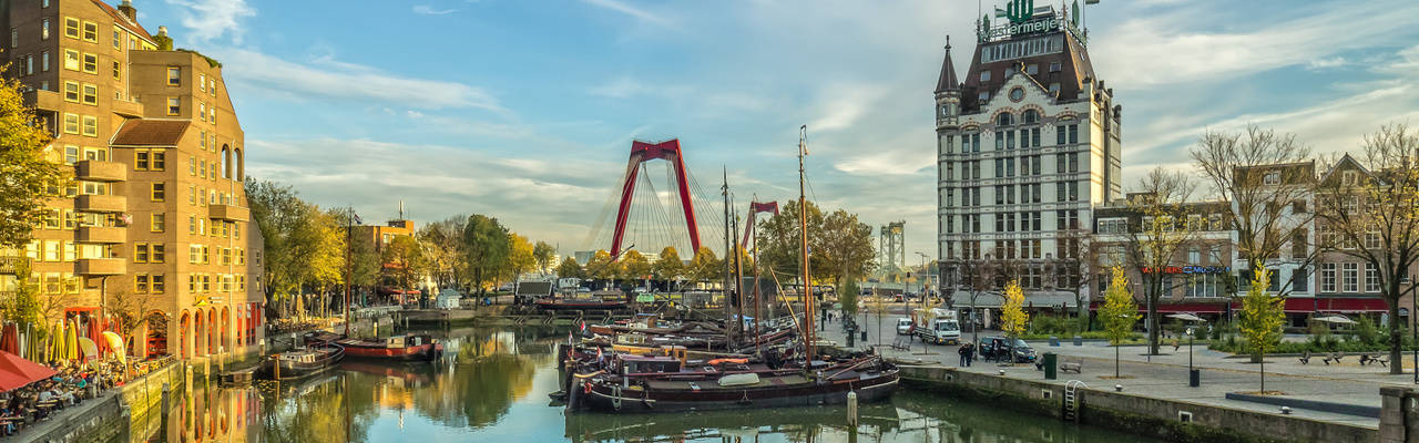 Study in Rotterdam, Netherlands | Study.eu