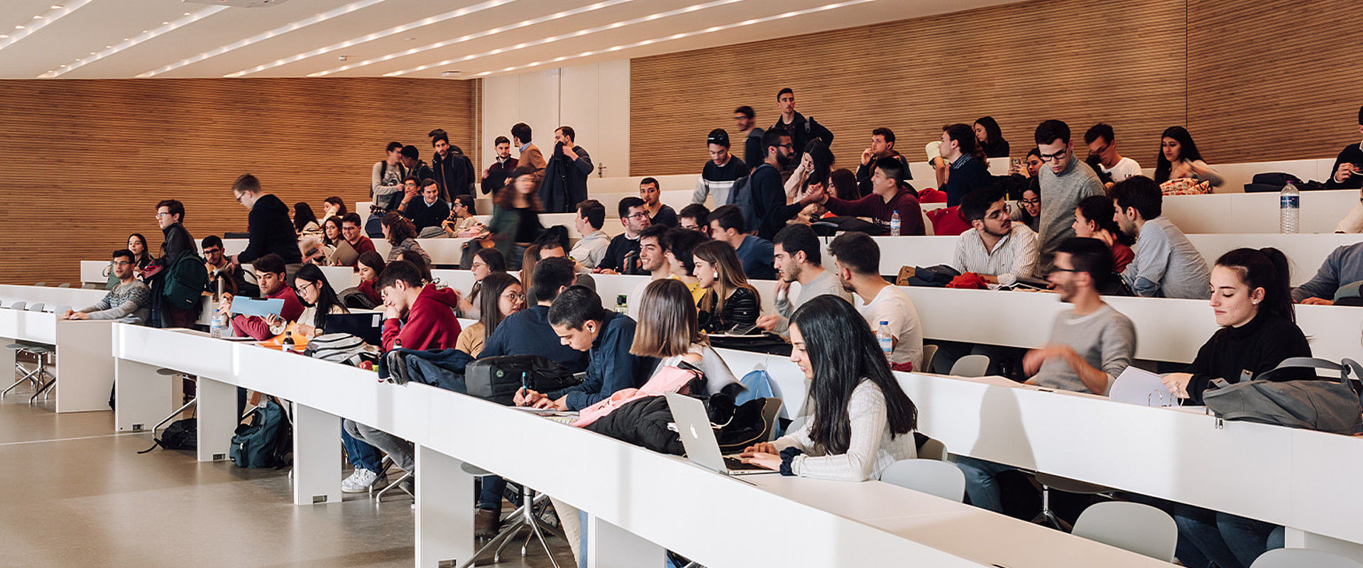 Nova School of Business & Economics, Portugal | Study.EU