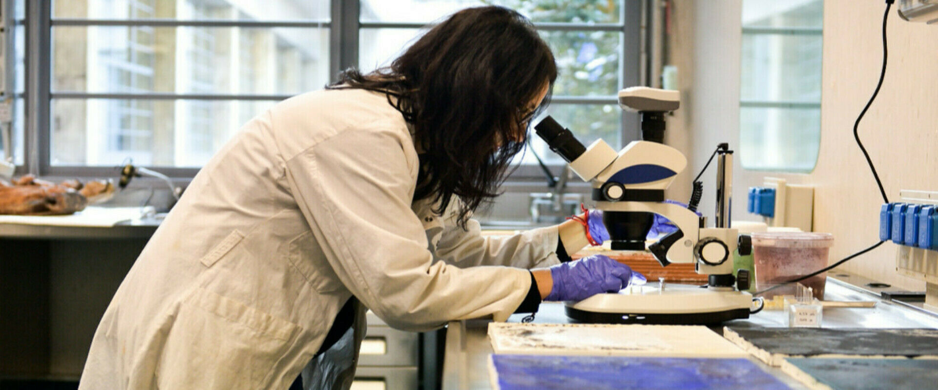 Study Conservation Science and Technology for Cultural Heritage at Ca' Foscari University of ...